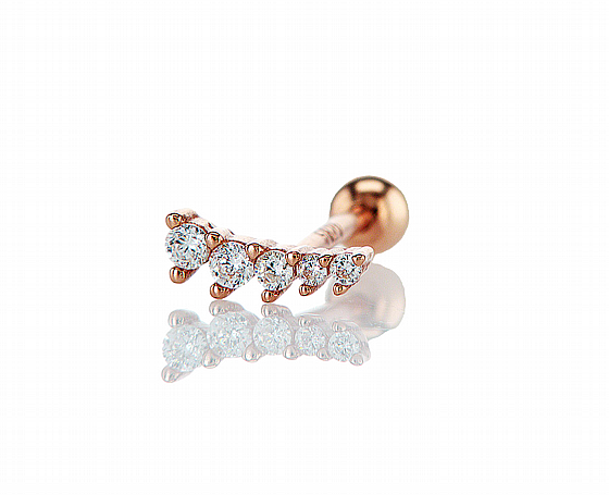 Mini Earring | פירסינג | עגילים